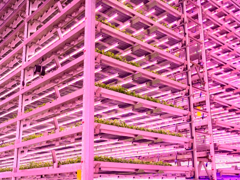 The Vertical Tale: Kalera Builds First Mega Multilayered Vertical Farm ...