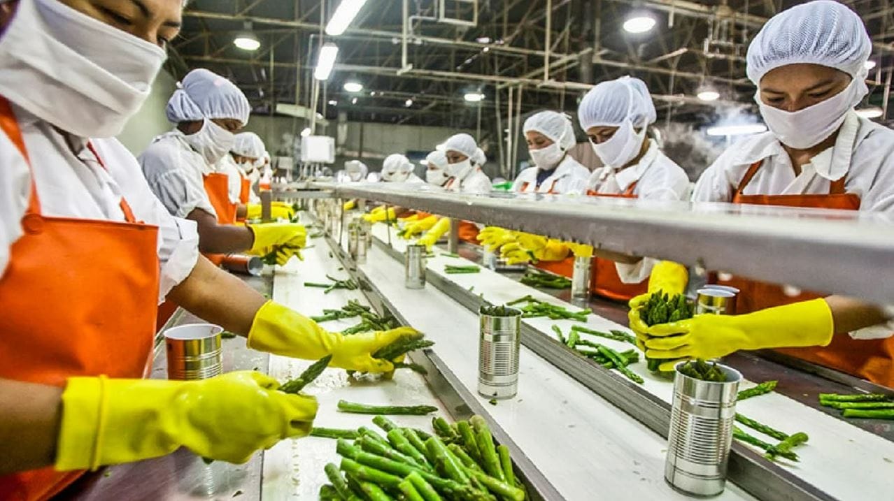 Agrofood Chamber Seeks Southern States to be Designated as ‘Food ...