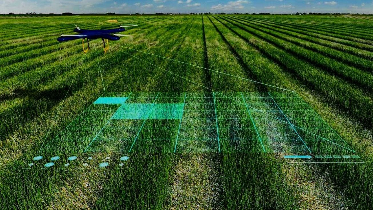 ICTforAg 2022: World’s Leading Global Conference on Digital Agriculture ...