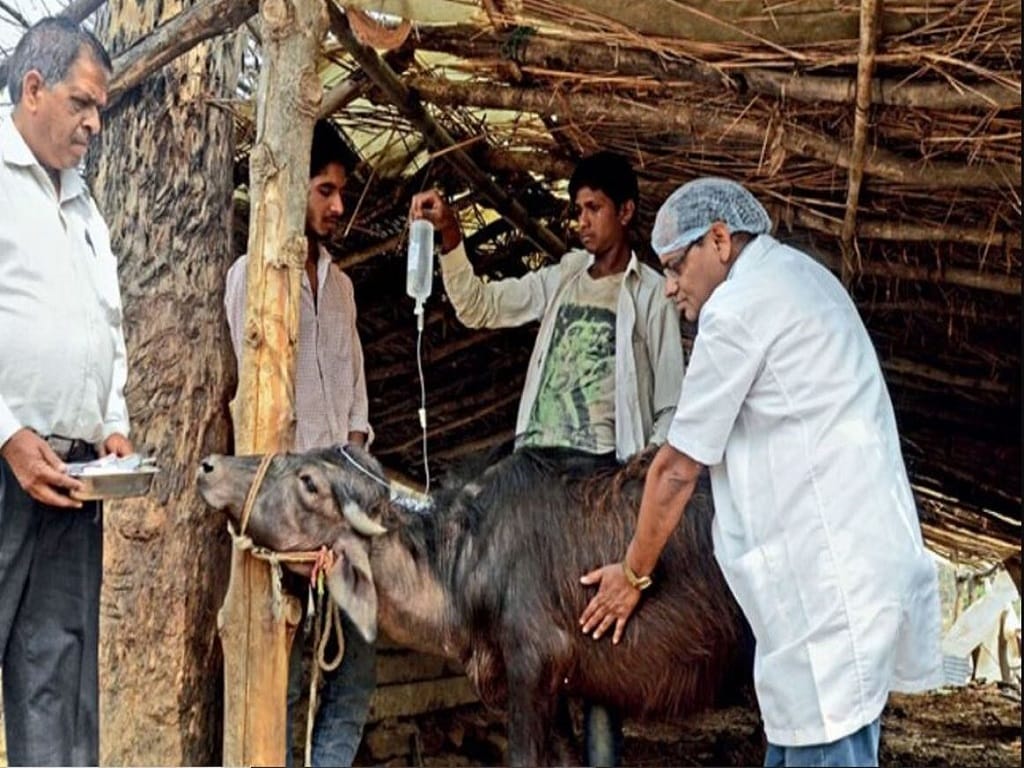 MP Government Unveils Mobile Veterinary Units with Animal Care at Your ...