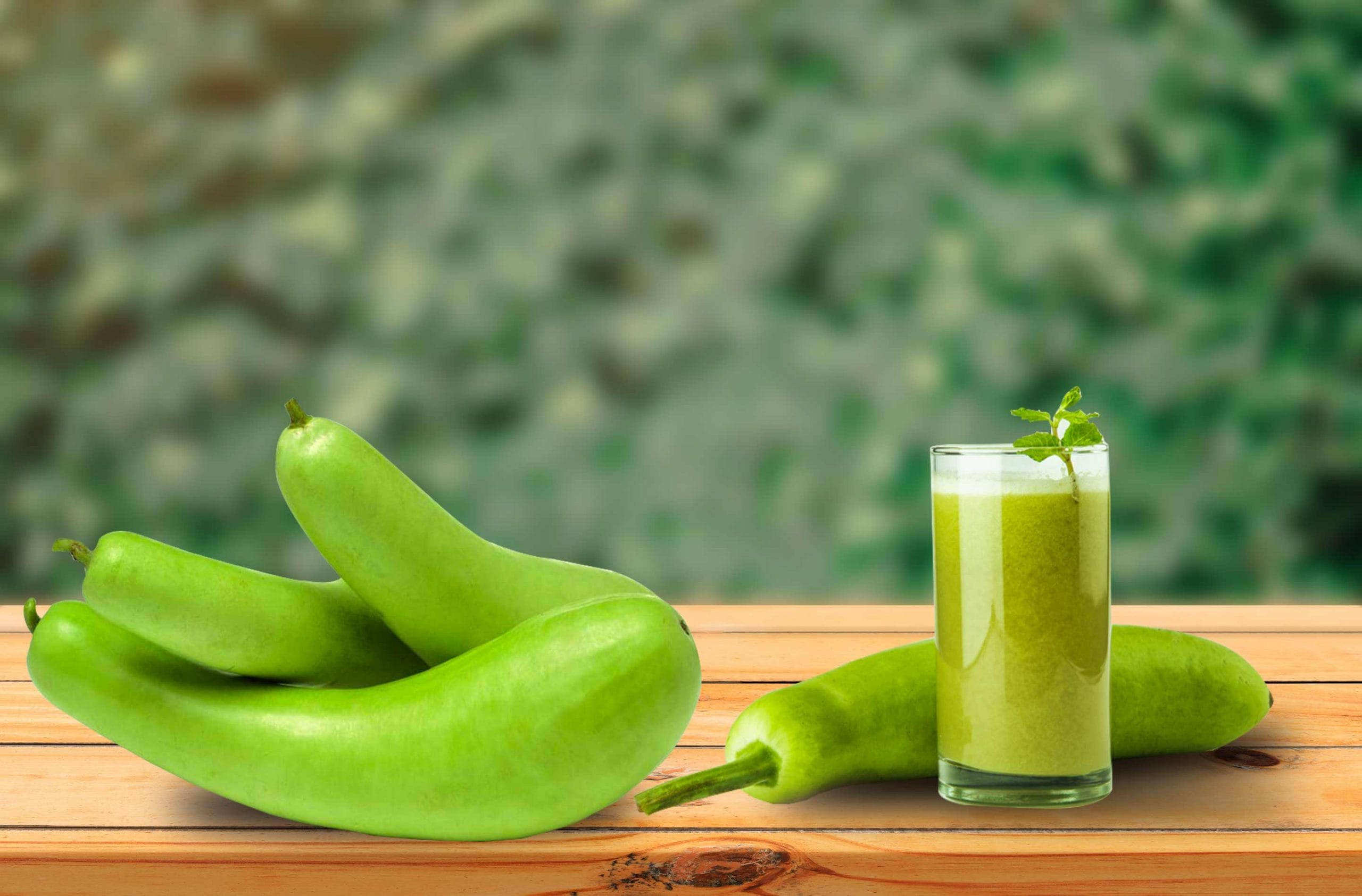 How to Grow Bottle Gourd (Lauki) at Home: A Complete Guide