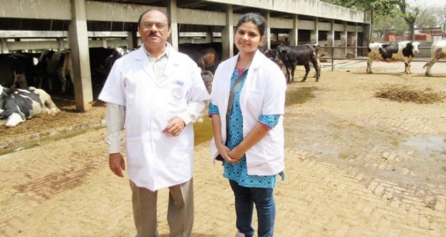 New immunotherapy of Brucellosis in cattle developed