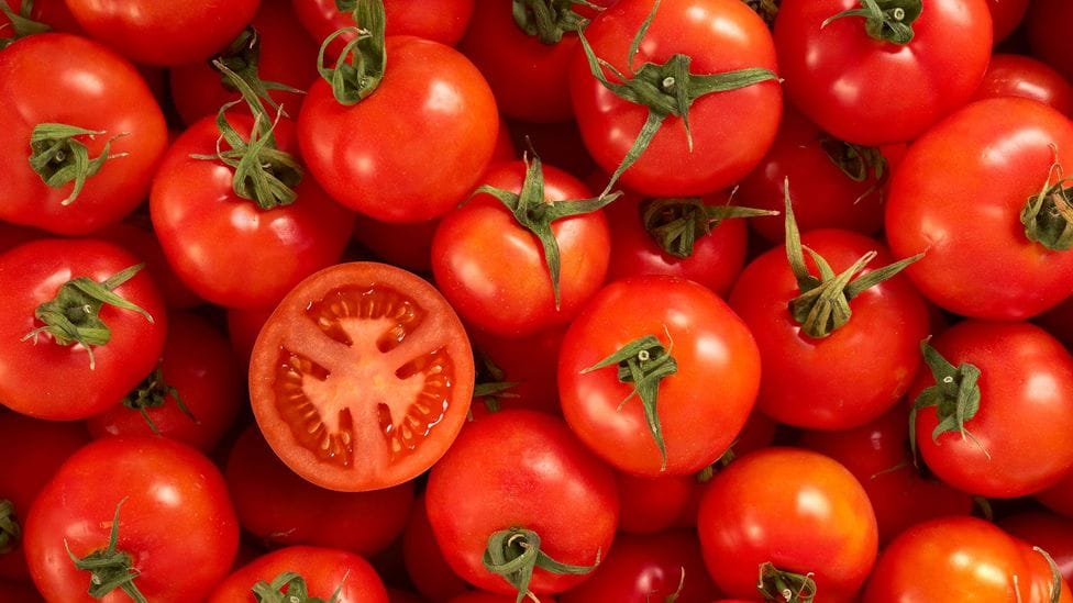Do You Eat Too Many Tomatoes? Here are 6 Side Effects You Should Be ...