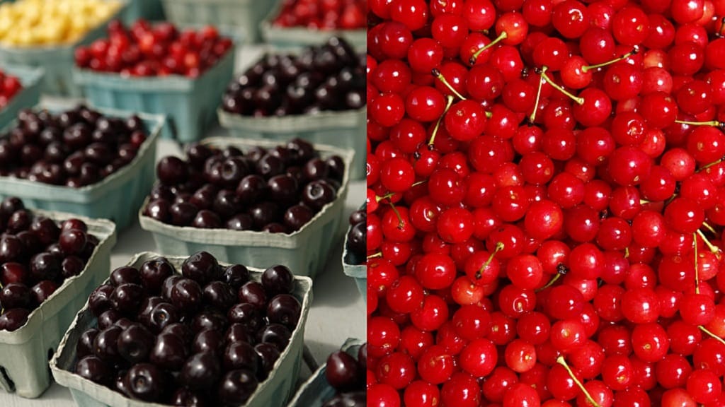 Cherry Vs. Berry- What Are the Significant Differences?