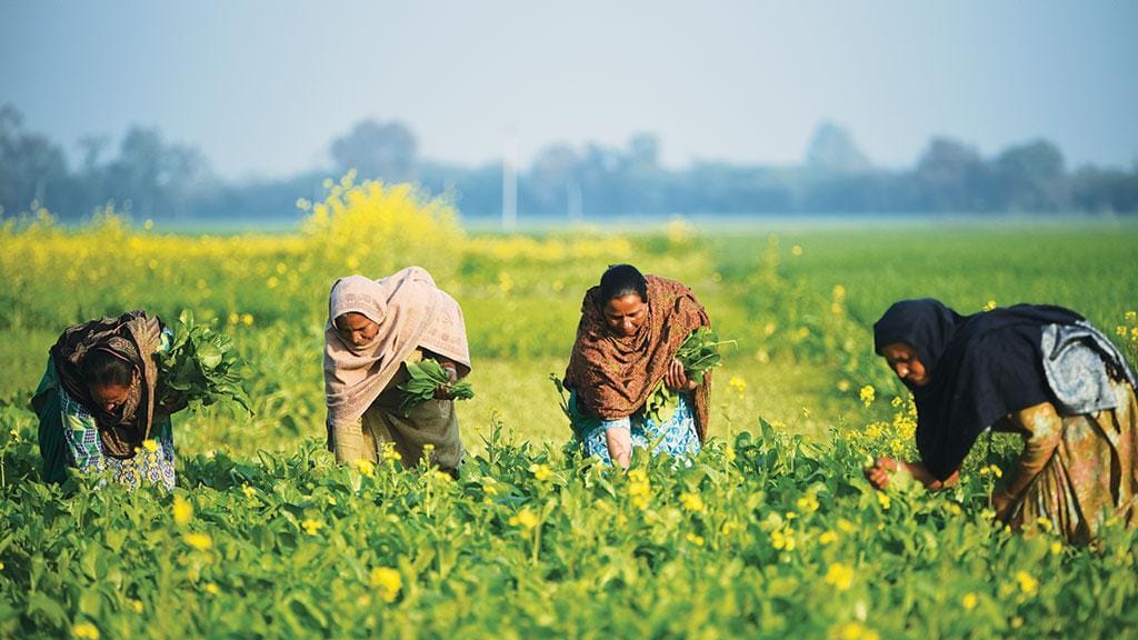 What Is 'J' Form and How Will It Benefit Farmers?