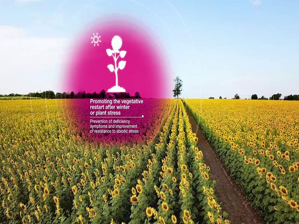 FertiGlobal Transforming Fertilizer Manufacturing with 100% Renewable ...