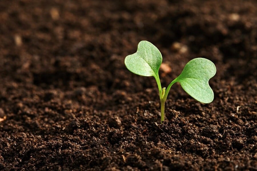 Google Collaborates With Agri-tech Firm To Bring Technology-Led ...