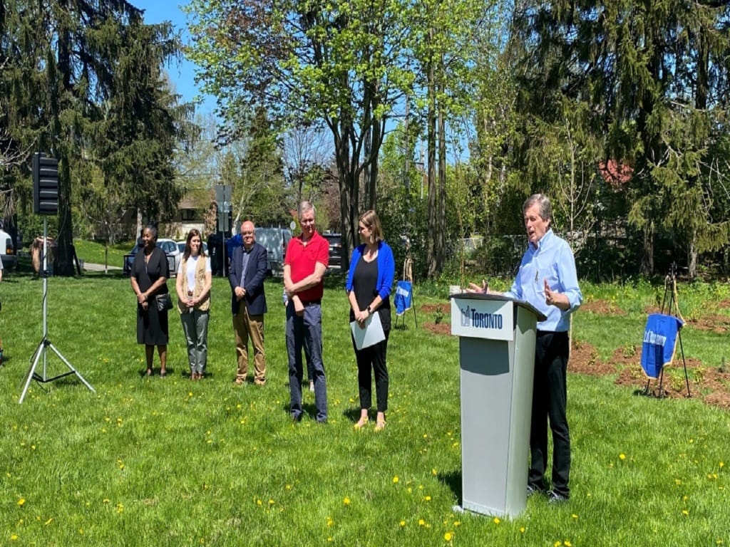 Toronto Chooses Oak Tree As Its Official Tree
