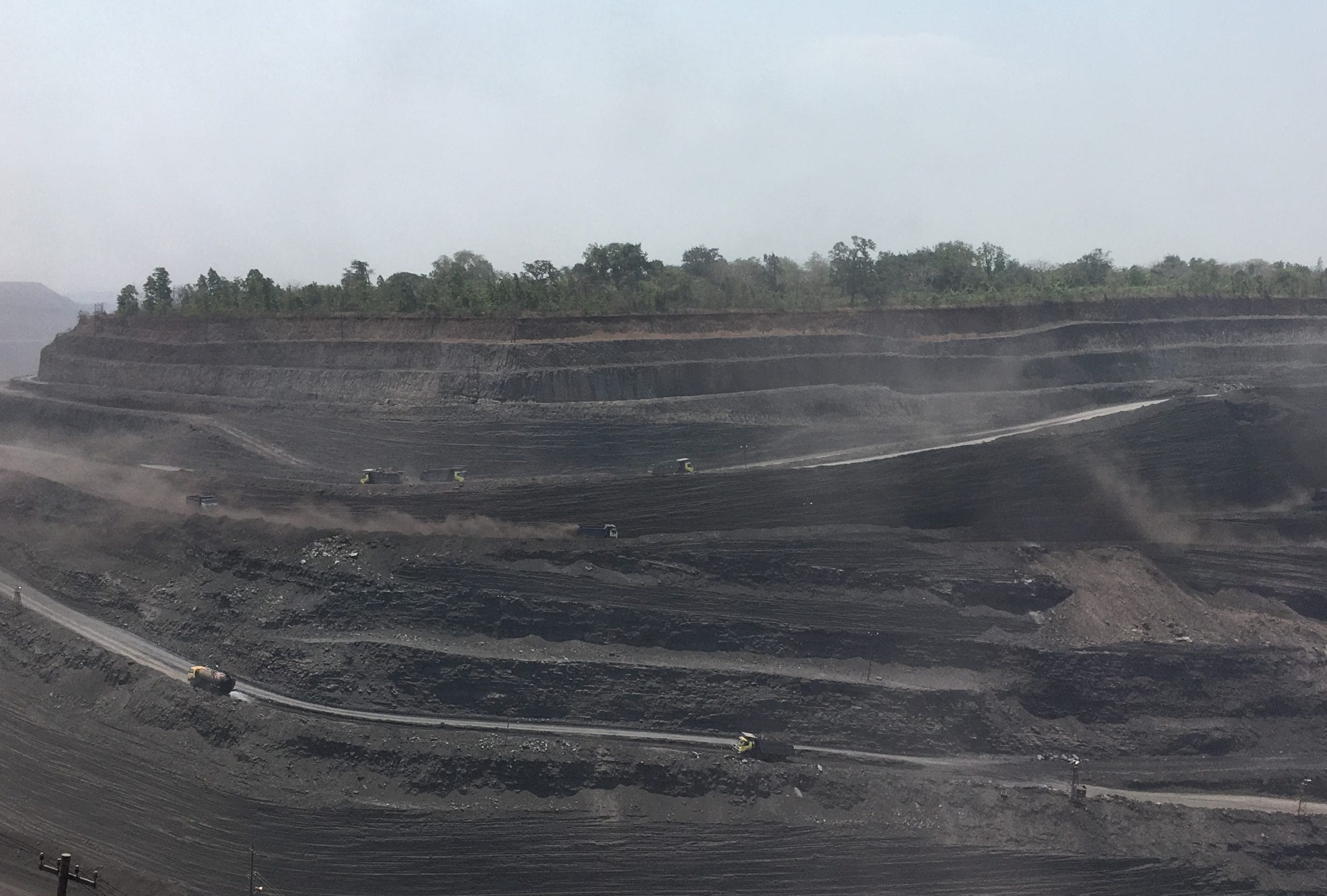 Odisha is Turning Barren Land Into Profitable Farms with This ...