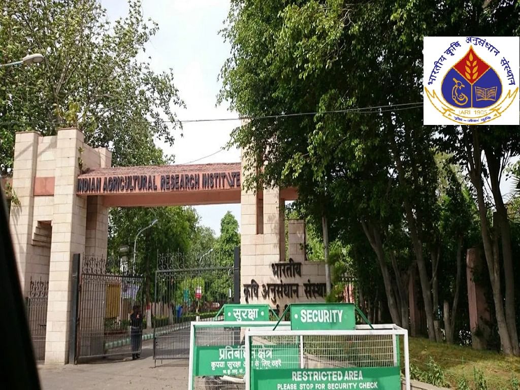 IARI Young Professional-II Recruitment 2022: Check Eligibility, Closing ...