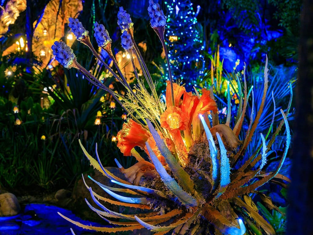 Understanding the Science Behind Bioluminescent Plants