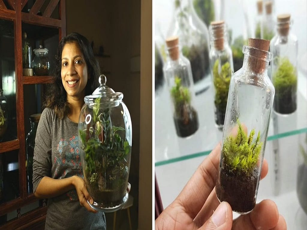 How to Grow a Garden in a Bottle: Step-to-Step Guide