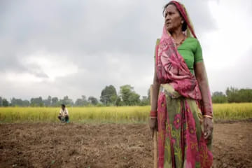Basudha, a 1.7-Acre Farm in Odisha Developed By a Scientist Supports ...