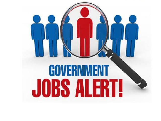Which Courses Can Get You a Government Job? Read to Find Out!