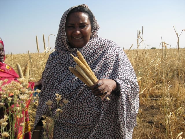 Tribal Women join hands in Boosting the Farmers Income