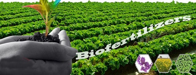 WB Government keen to Boost Plant Productivity through Bio-Fertilizers
