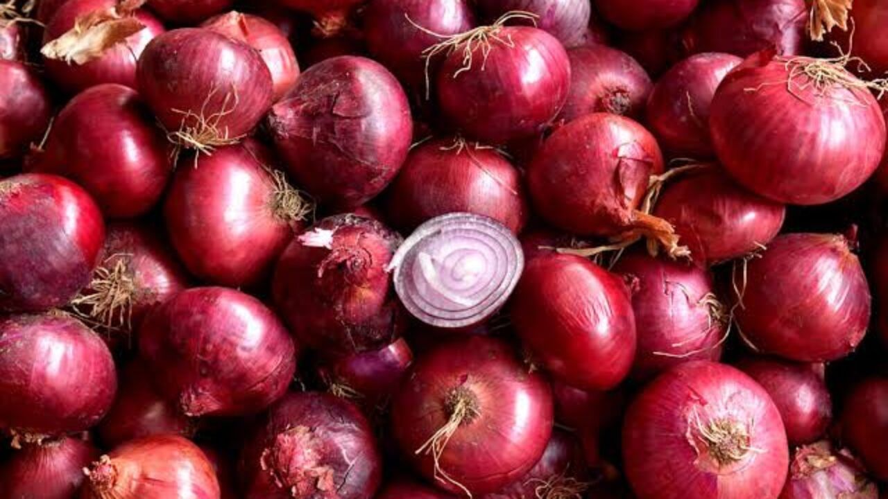 Govt Procures 2.50 Lakh Tonnes of Onion for Buffer Stock in 2022-23