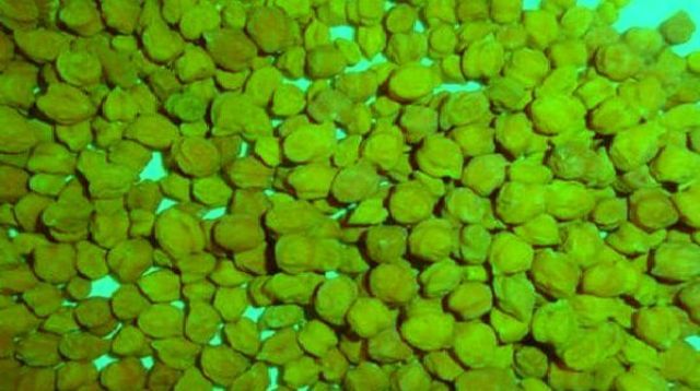 After six months the price of gram has been increased in a commodity market