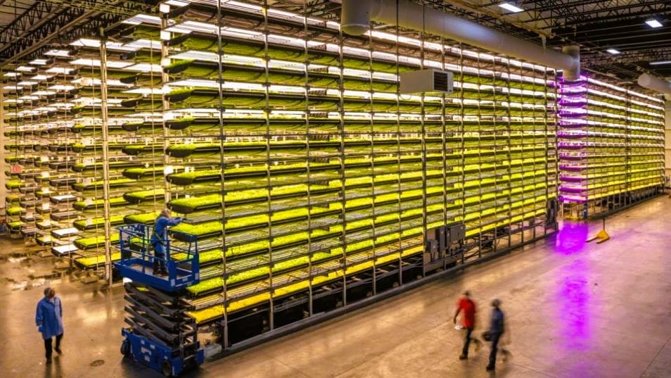 World's Largest Vertical Farm Opened in Dubai