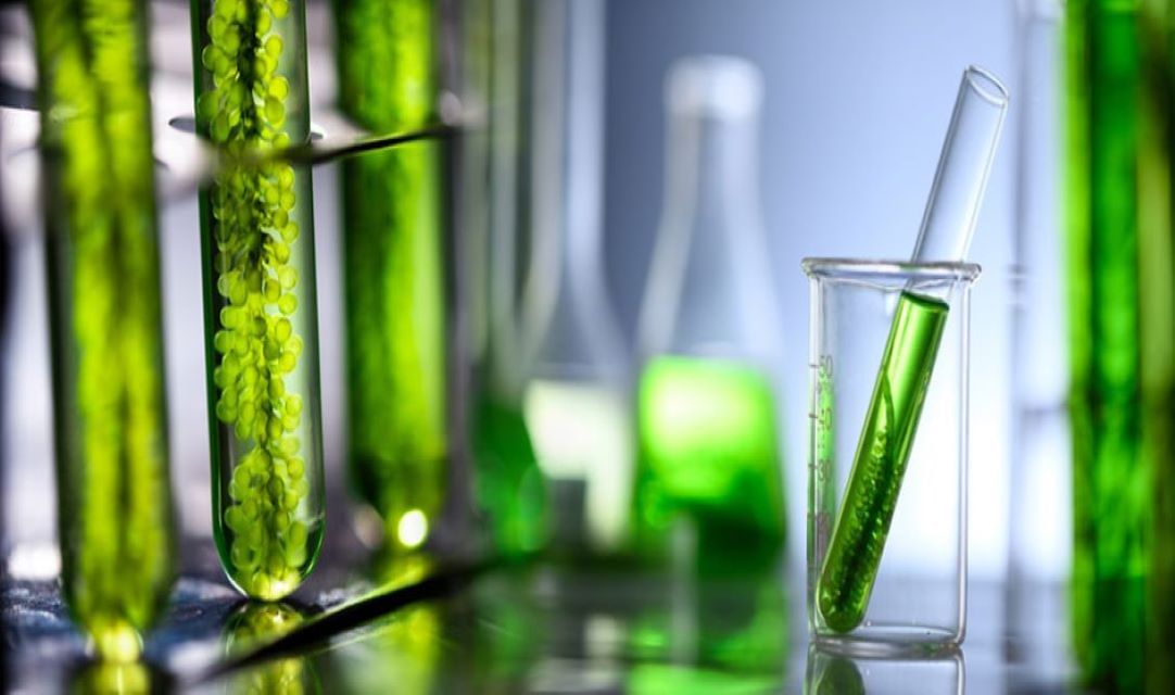 Meera Clean Fuel (MCL) to Organize Conference on World Biofuel Day 2022