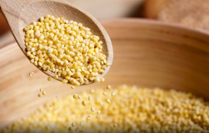 Icar Iimr Sets Up Millet Processing Unit For Farmers Fpos