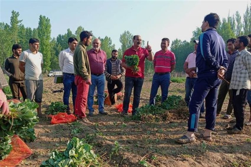 Kerala Plans to Form Farming Community Clusters Based on Neighbourhood ...