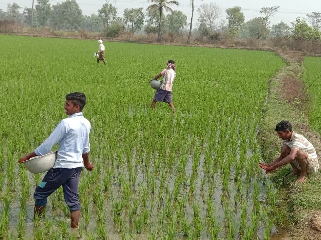 Government Implements 'One Nation One Fertilizer' Plan under 'Bharat' Brand