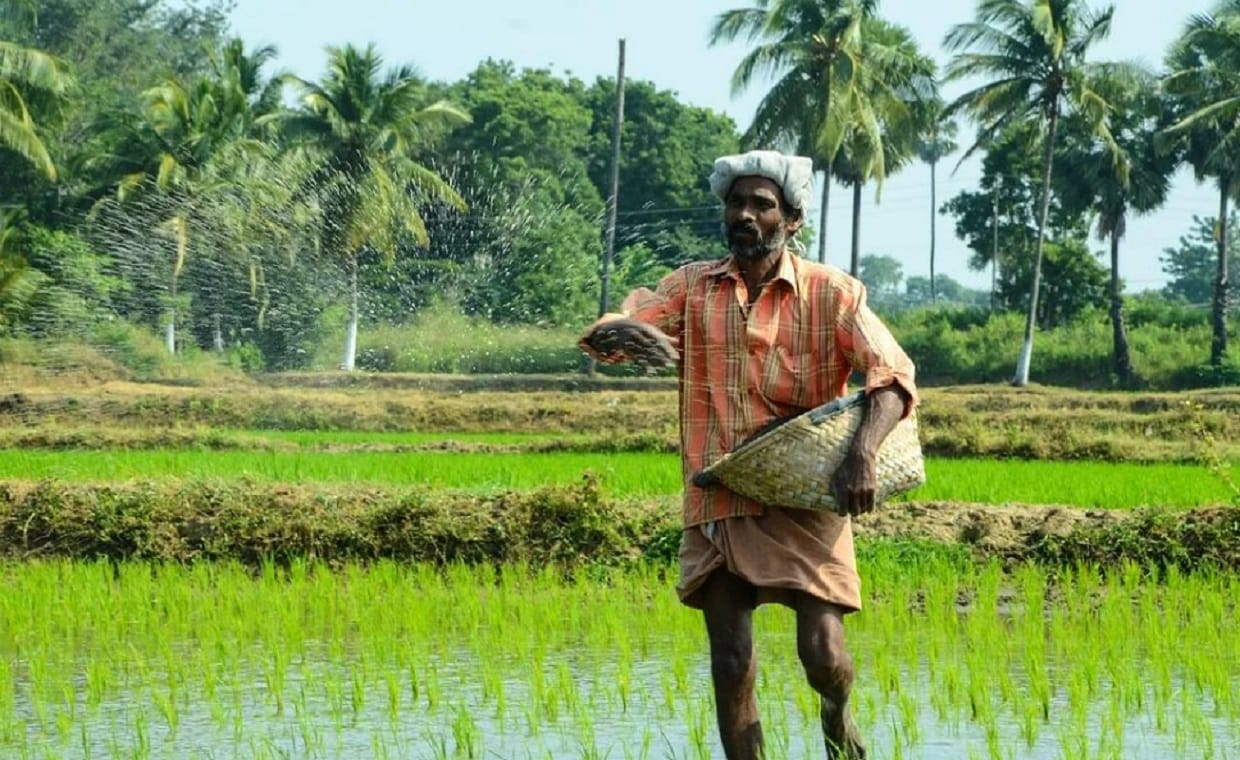 Kerala to Launch Value Added Agriculture Mission to Increase Farmers ...