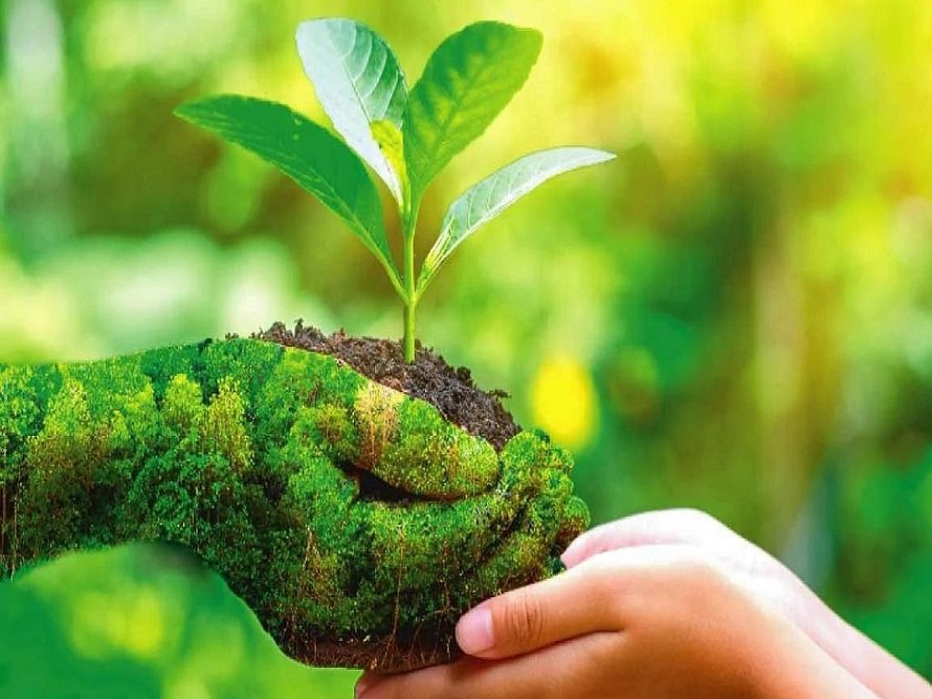 7 Interesting Facts & Theme of World Environment Day 2022