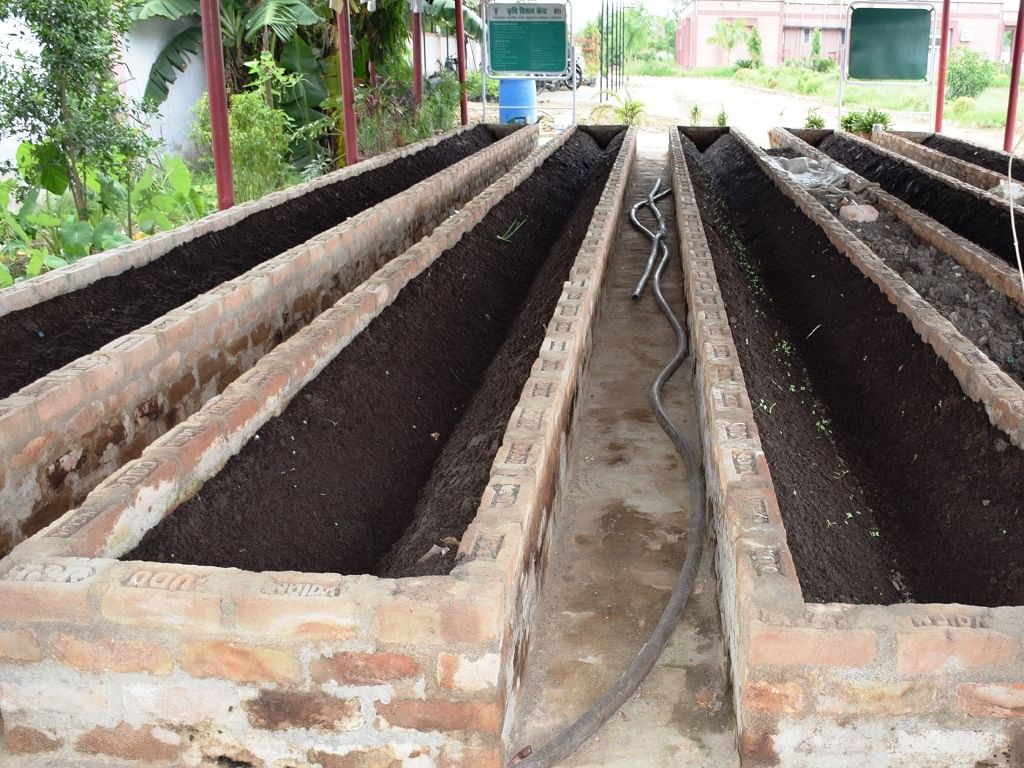 How to Start a Profitable Vermicompost Business; Check Step-by-Step Process