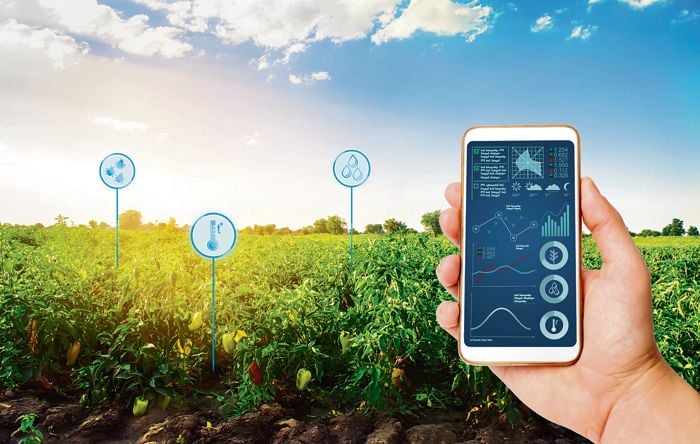 Microsoft To Open Source Its Agri Technology Tools To Support Data 3805