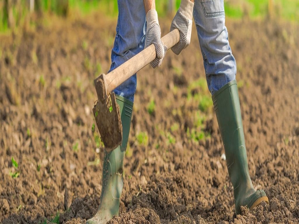 Land Tilling: How to Do it the Right Way
