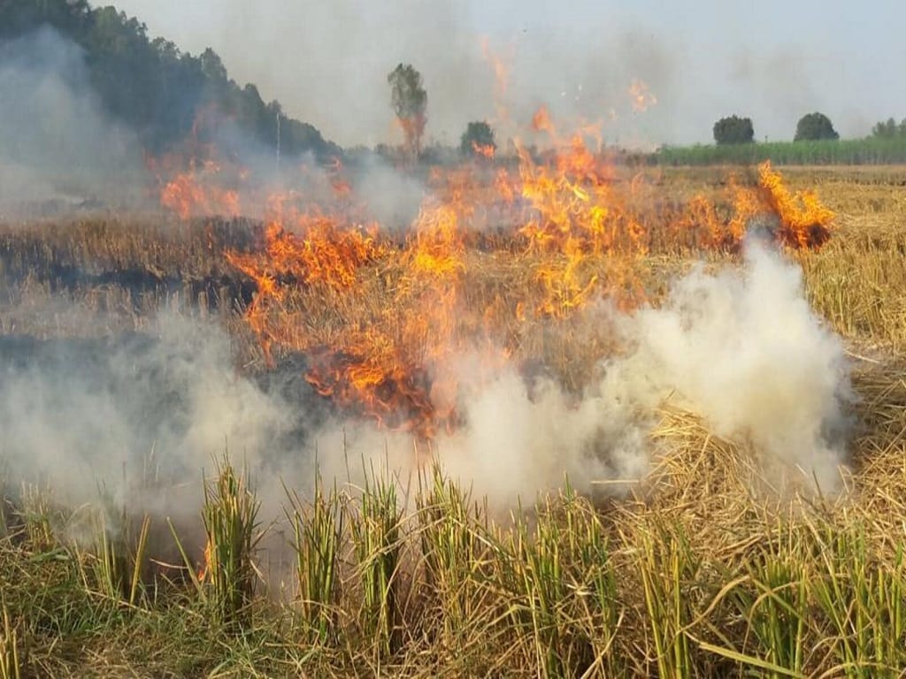 Farmers Caught Burning Crop Residue will be Fined Rs. 2,500 per Acre