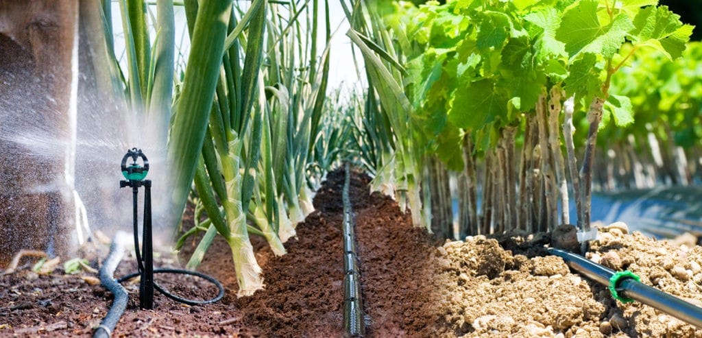 Rivulis India Launches Tool to Help Farmers in Making Informed ...