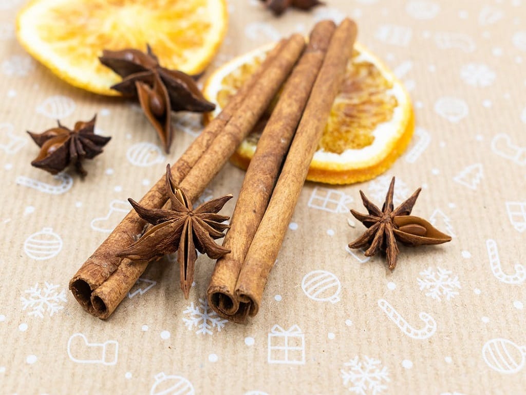 Enjoy The Amazing Benefits of Cinnamon Milk This Winter!
