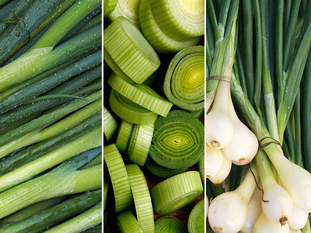 10 Fascinating Health Benefits of Spring Onions