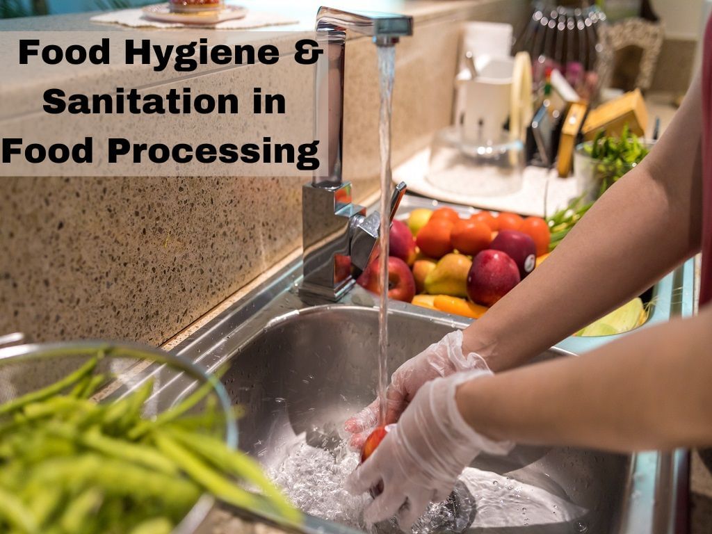 Growing Need of Food Hygiene and Sanitation in Food Processing