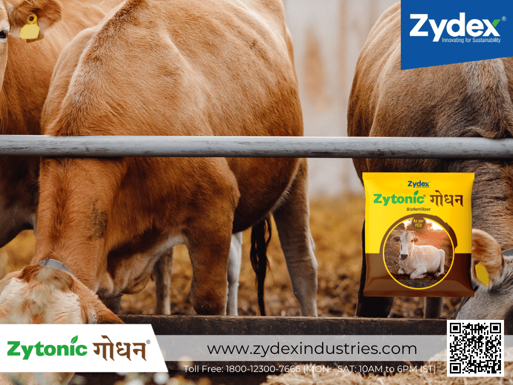 Ensuring Timely Availability of FYM in Required Quantity for ...