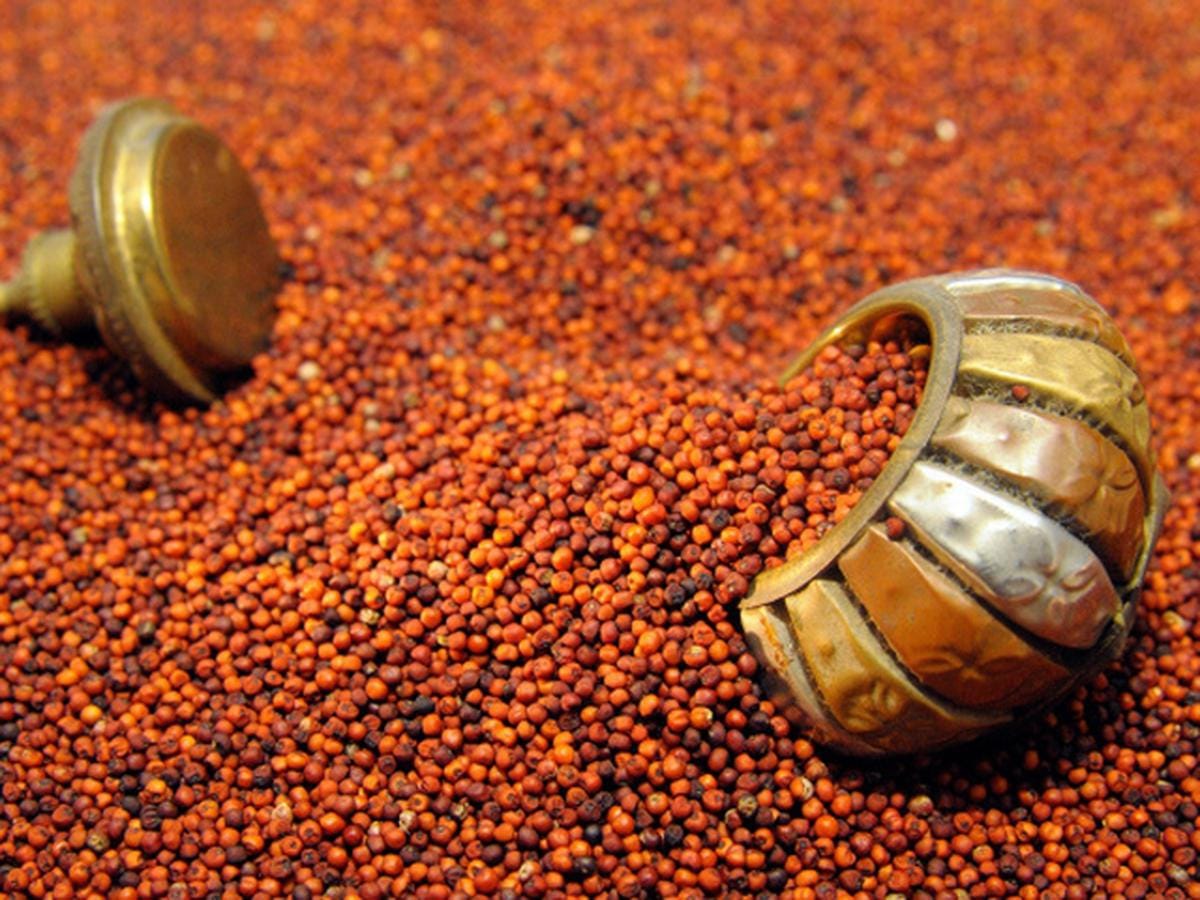 Some Special Winter Ragi Recipes to Enjoy