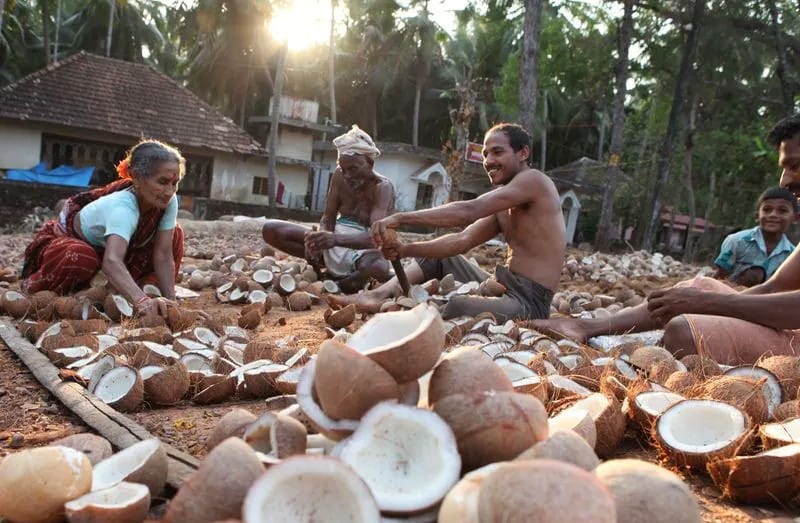 CCEA Approved Hike in Copra MSP by 3-7% for 2023