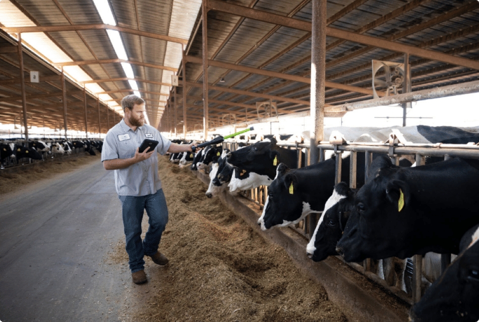 ForFarmers, a Dutch Feed Maker to Utilize Food Waste as Part of Its ...