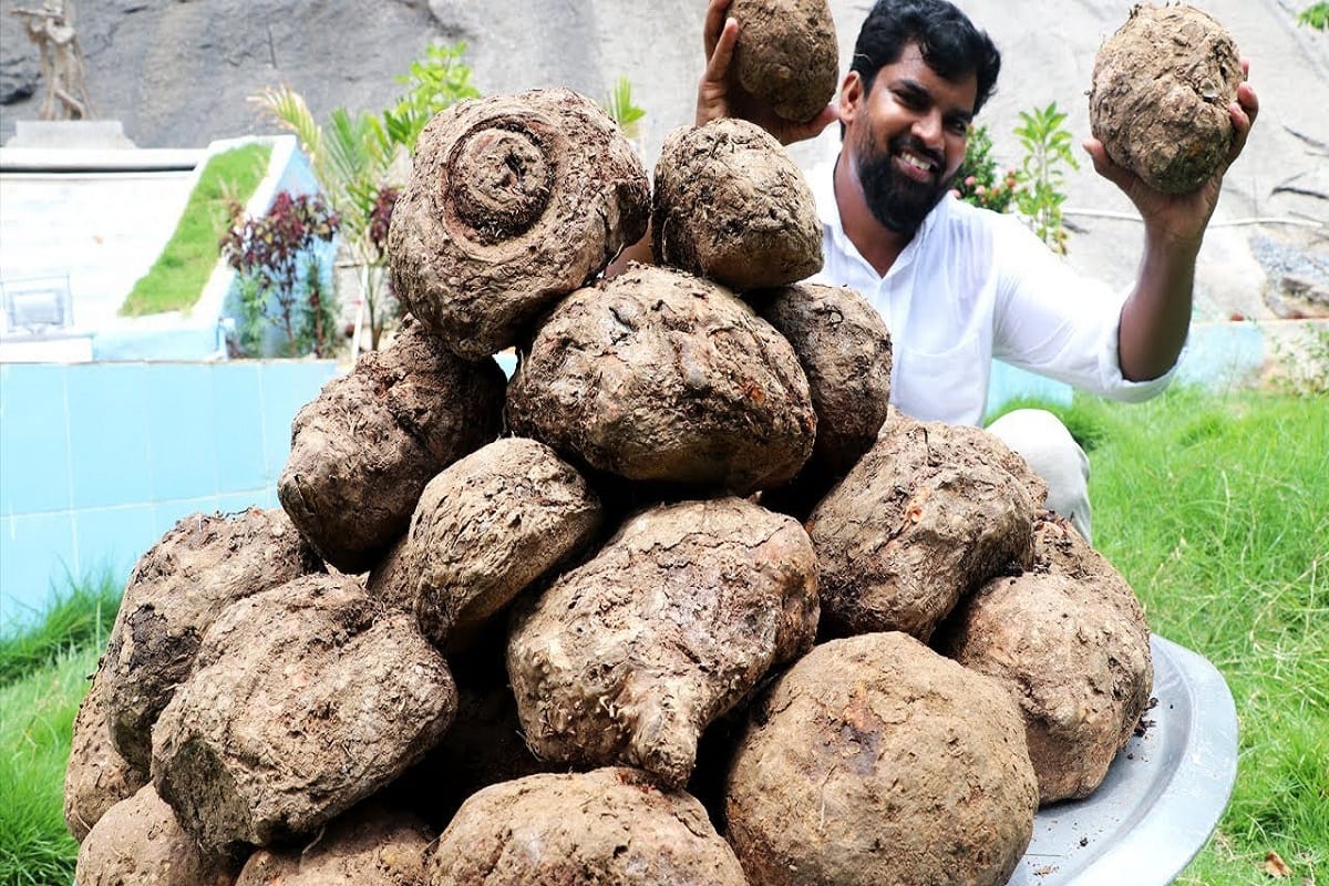 Elephant Foot Yam: Nutrition and Benefits