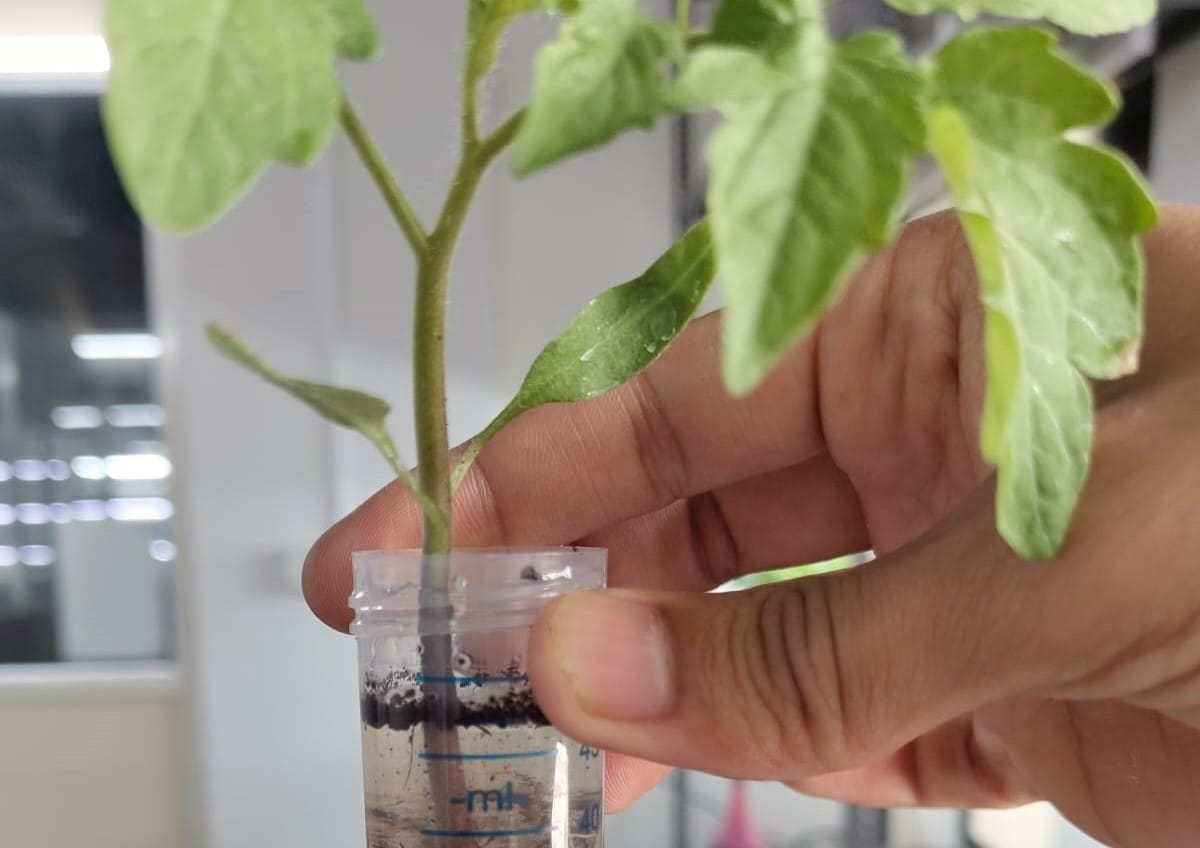 GoI Grants Patent BioPrime AgriSolutions for Invention of a Novel Bio ...