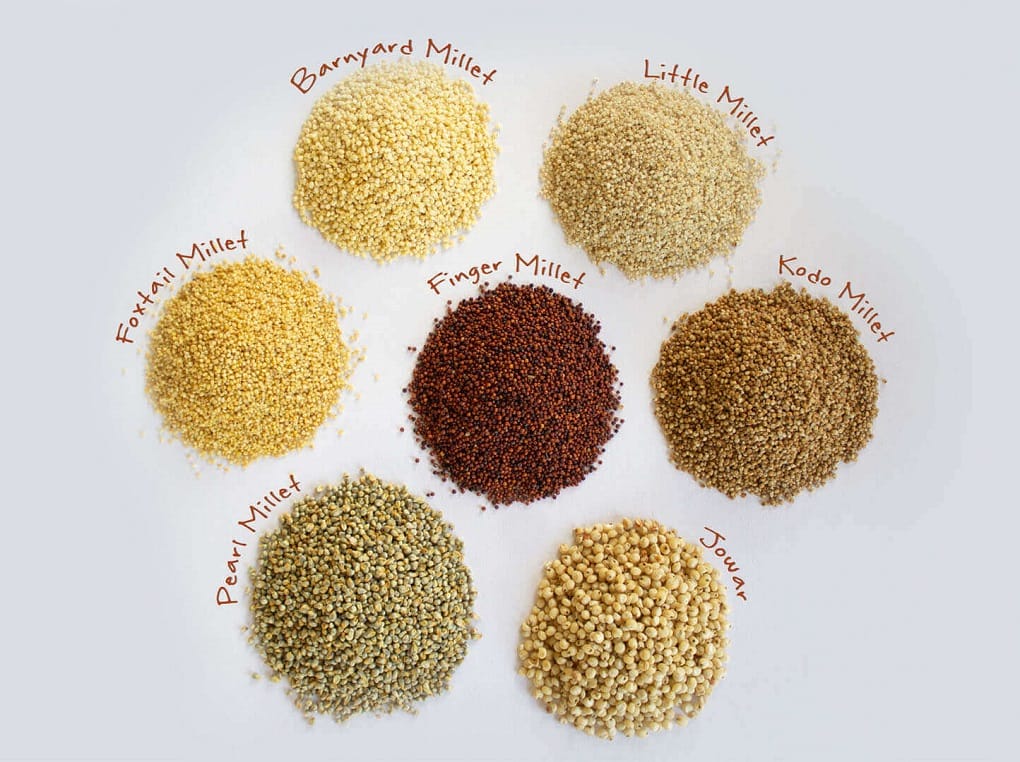 IYOM 2023: Steps Taken by Indian Government for Promoting Millet Production
