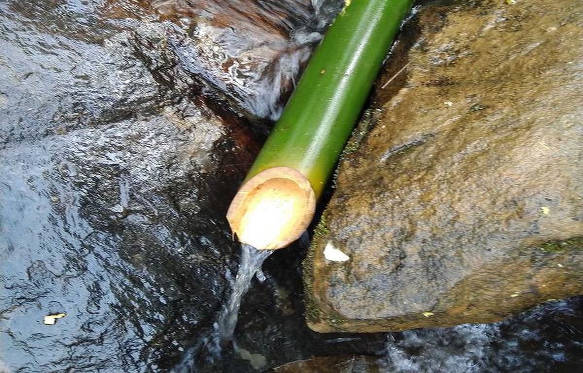 Bamboo Drip Irrigation: An Indigenous Method of Water Harvesting in ...