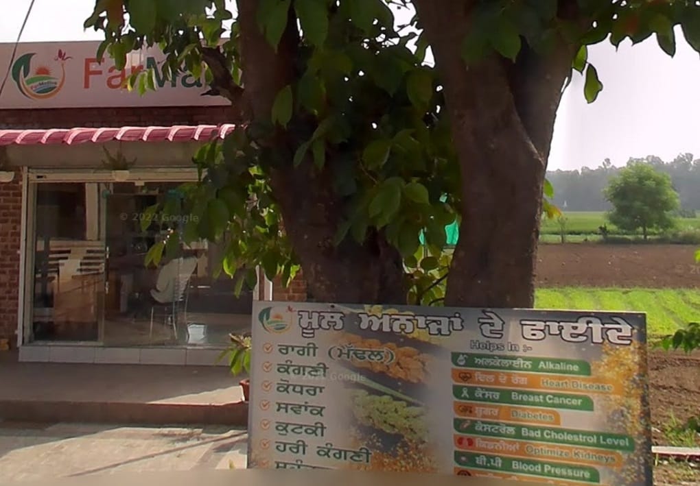 Ludhiana Farmer Runs a Successful Millet Value Addition Business ...