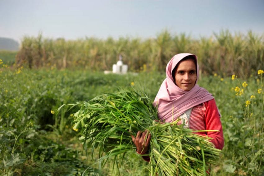 Yara India Releases Its 1st India Sustainability Report