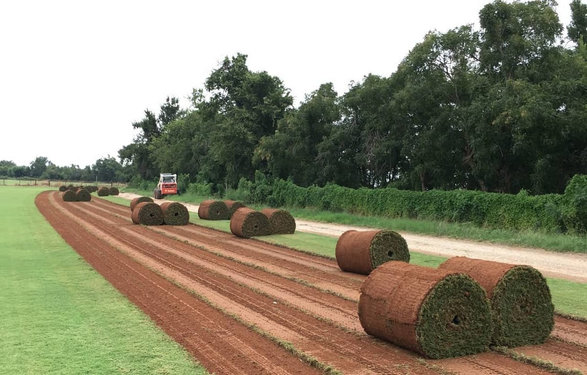 What is Sod Farming and How to Do It?