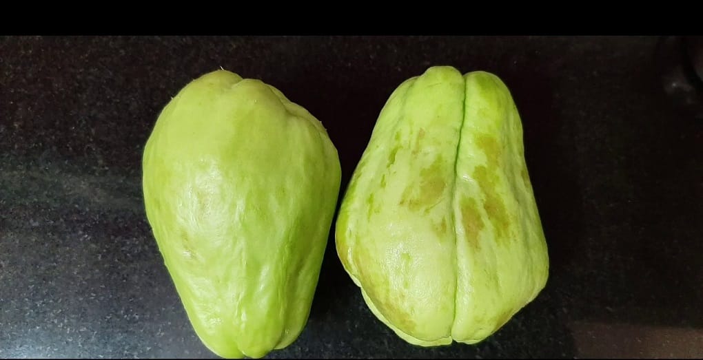 8 Different Types of Gourds