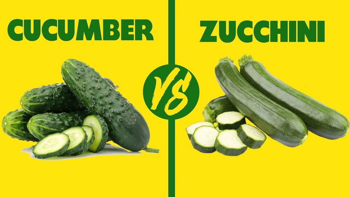 Cucumber Vs Zucchini: Know the Difference